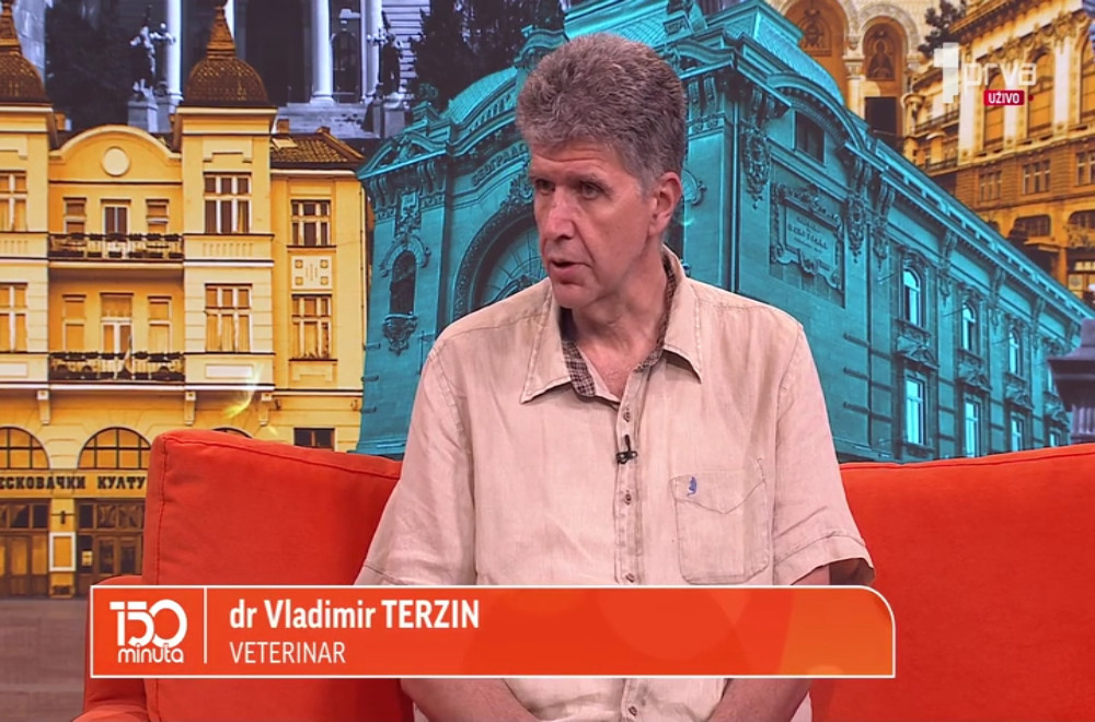 Veterinar Vladimir Terzin odgovara na pitanja gledaoca | Video | Prva ...