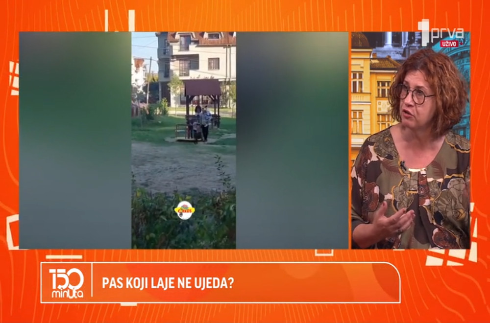 Kako se ponašati ako vas napadne pas i da li deci mogu ostati traume od tog događaja? | Video ...