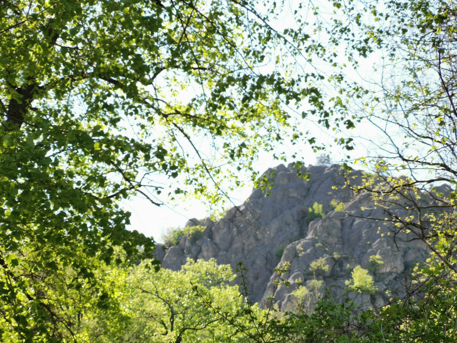 Srpsko selo u srednjem veku imalo više stanovnika nego London i jedino ...
